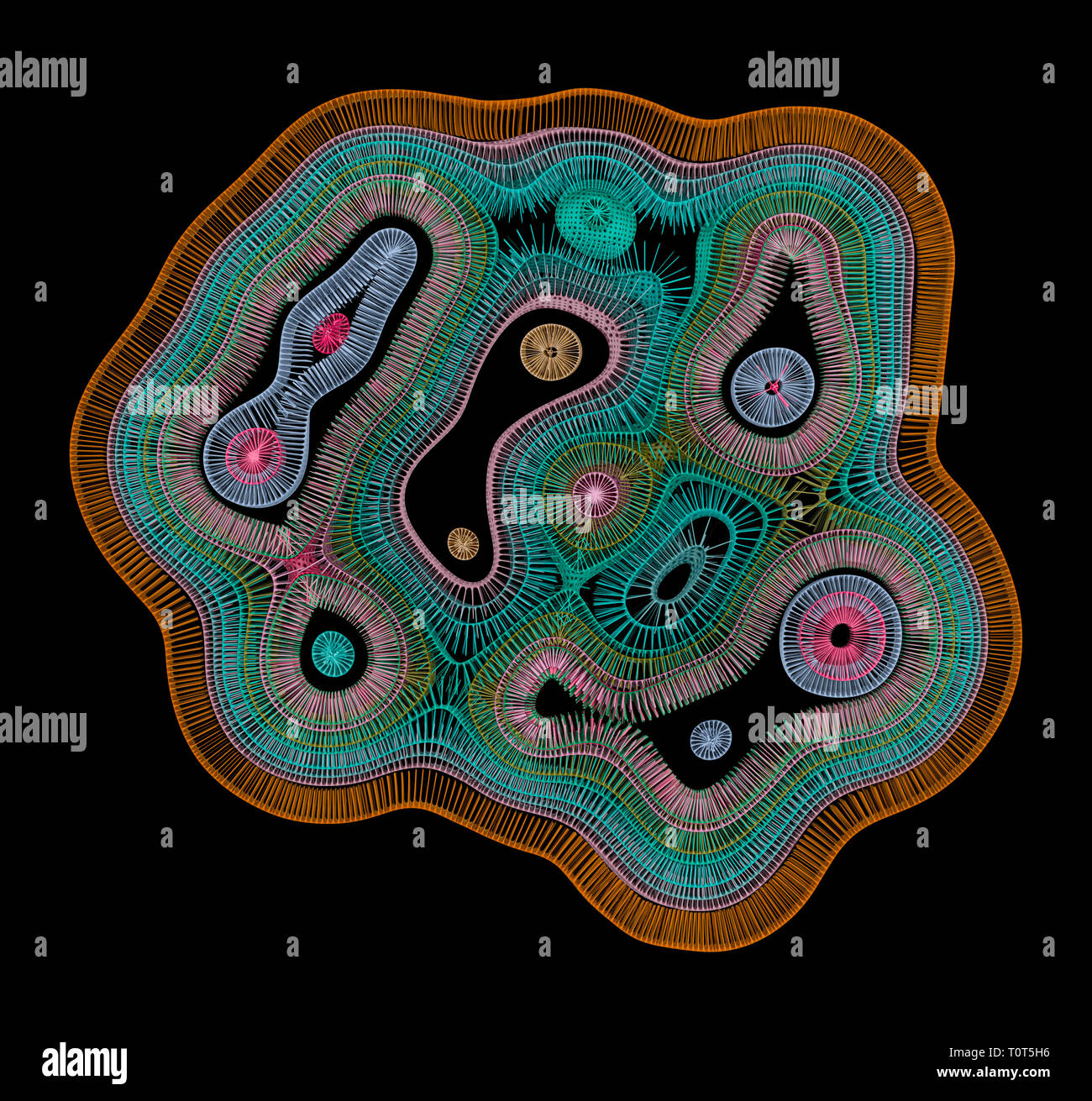 Cross Section Of An Organic Cell With Intracellular Organelles. Medical ...