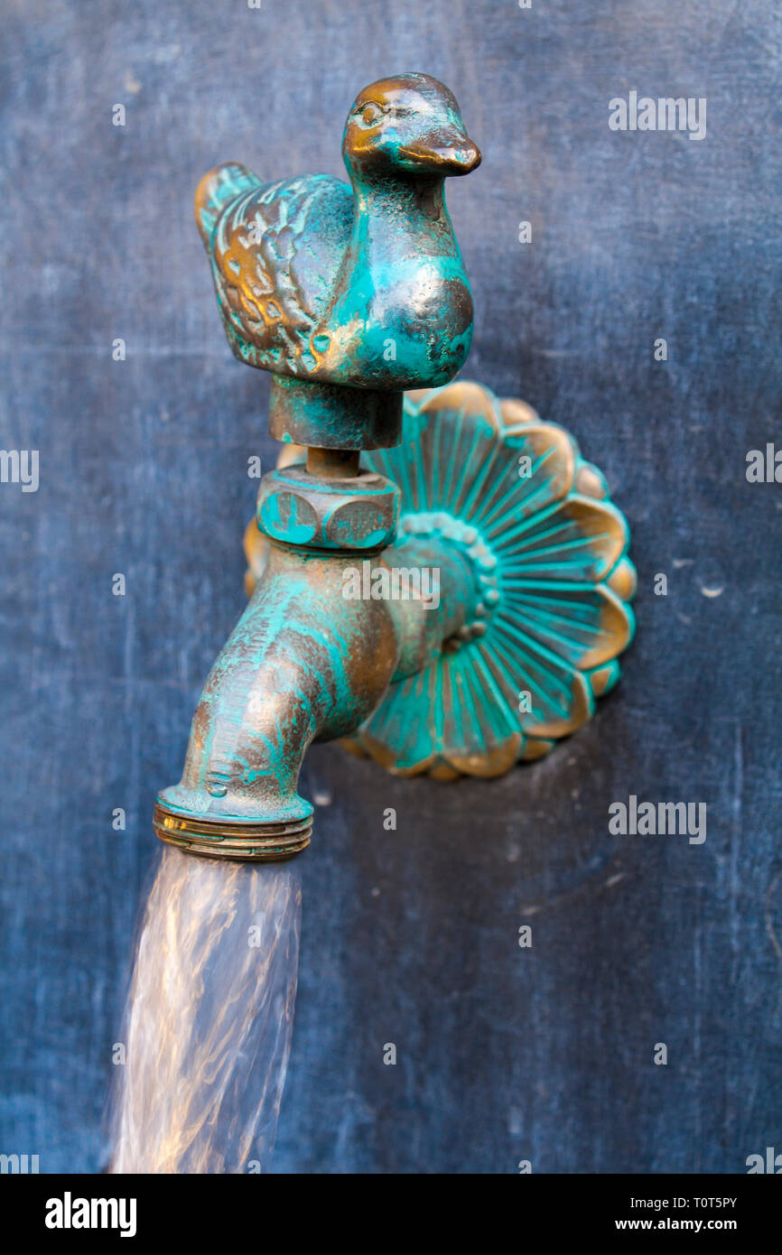 Dack hi-res stock photography and images - Alamy