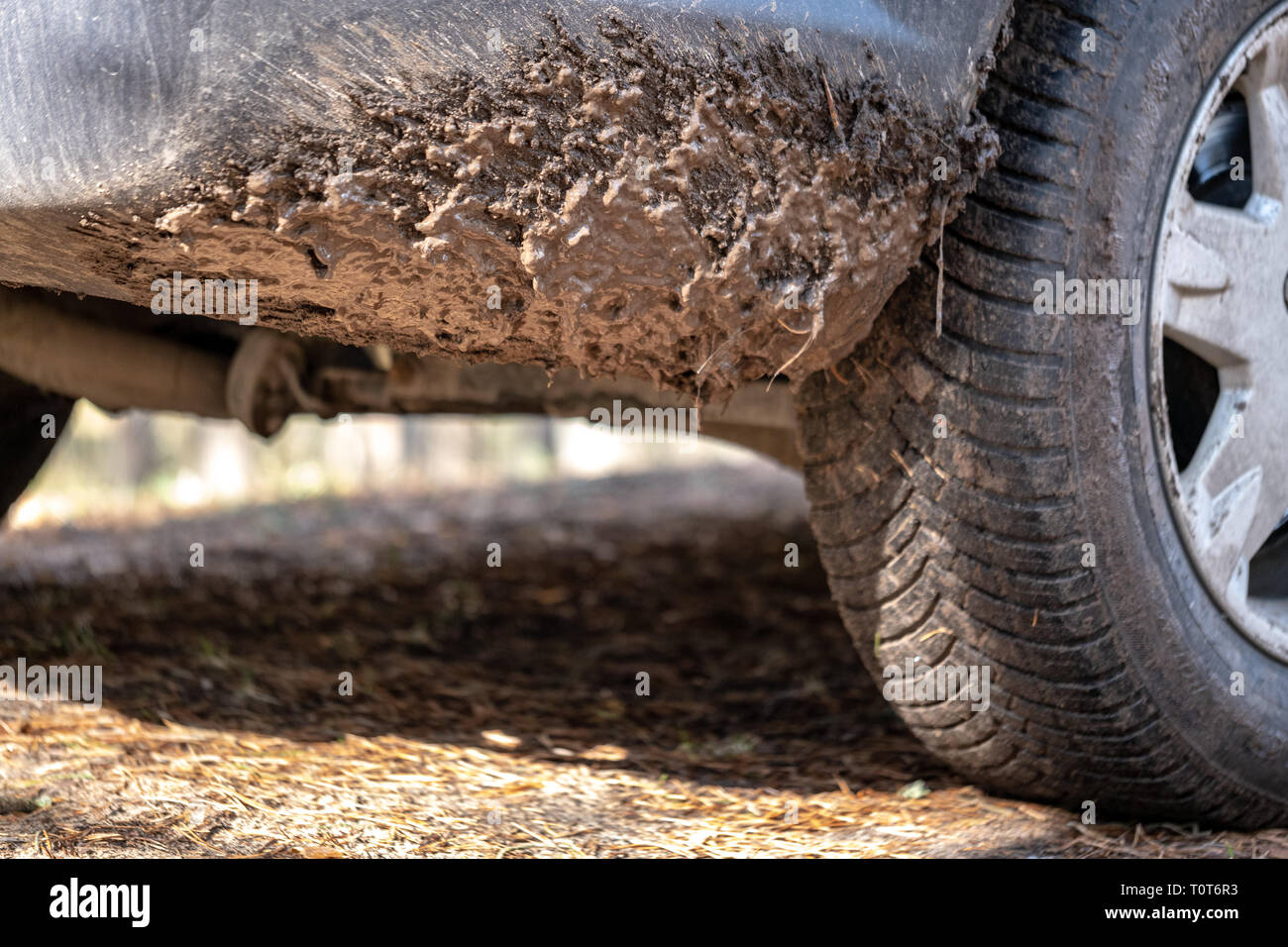 very dirty offroad car covered in mud in sunny forest Stock Photo - Alamy