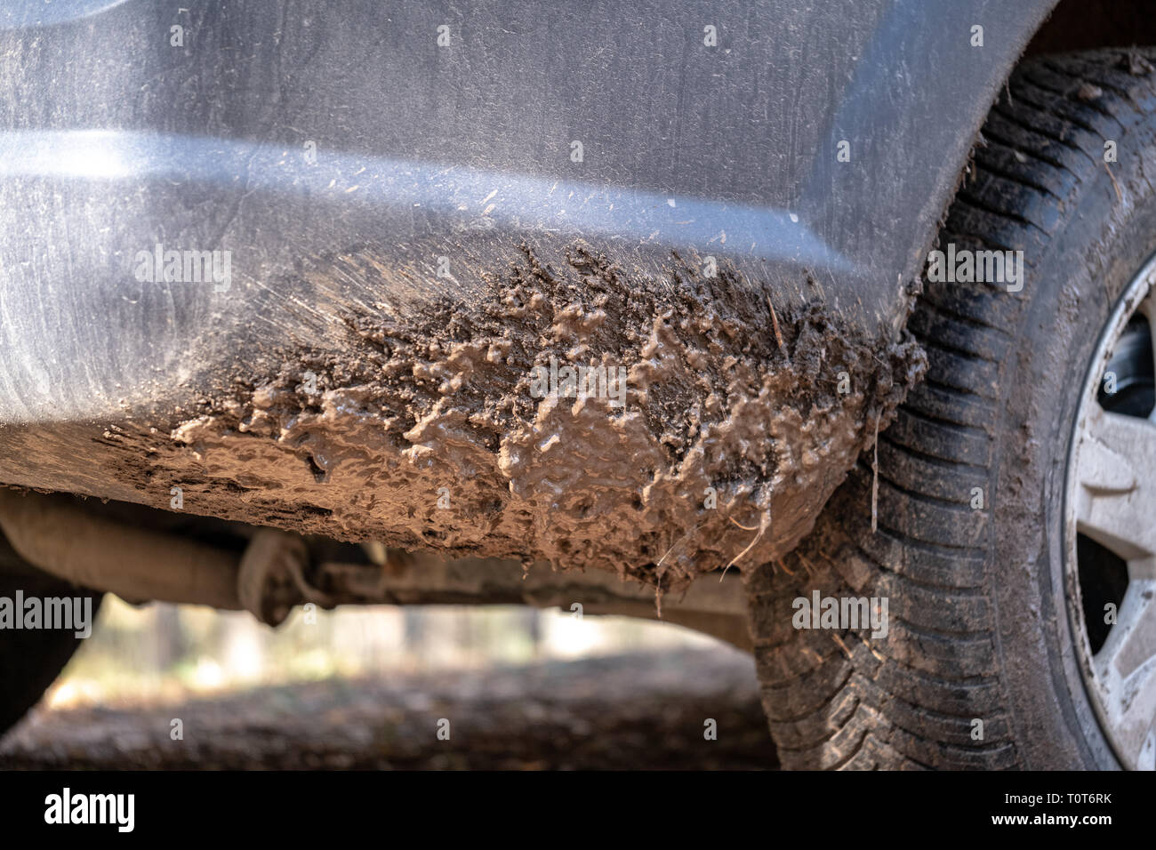 very dirty offroad car covered in mud in sunny forest Stock Photo - Alamy