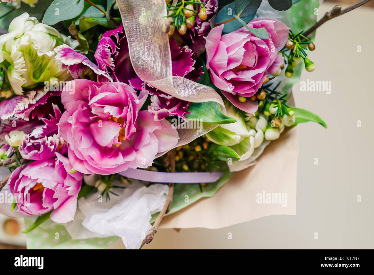 Tulipa drumline hi-res stock photography and images - Alamy