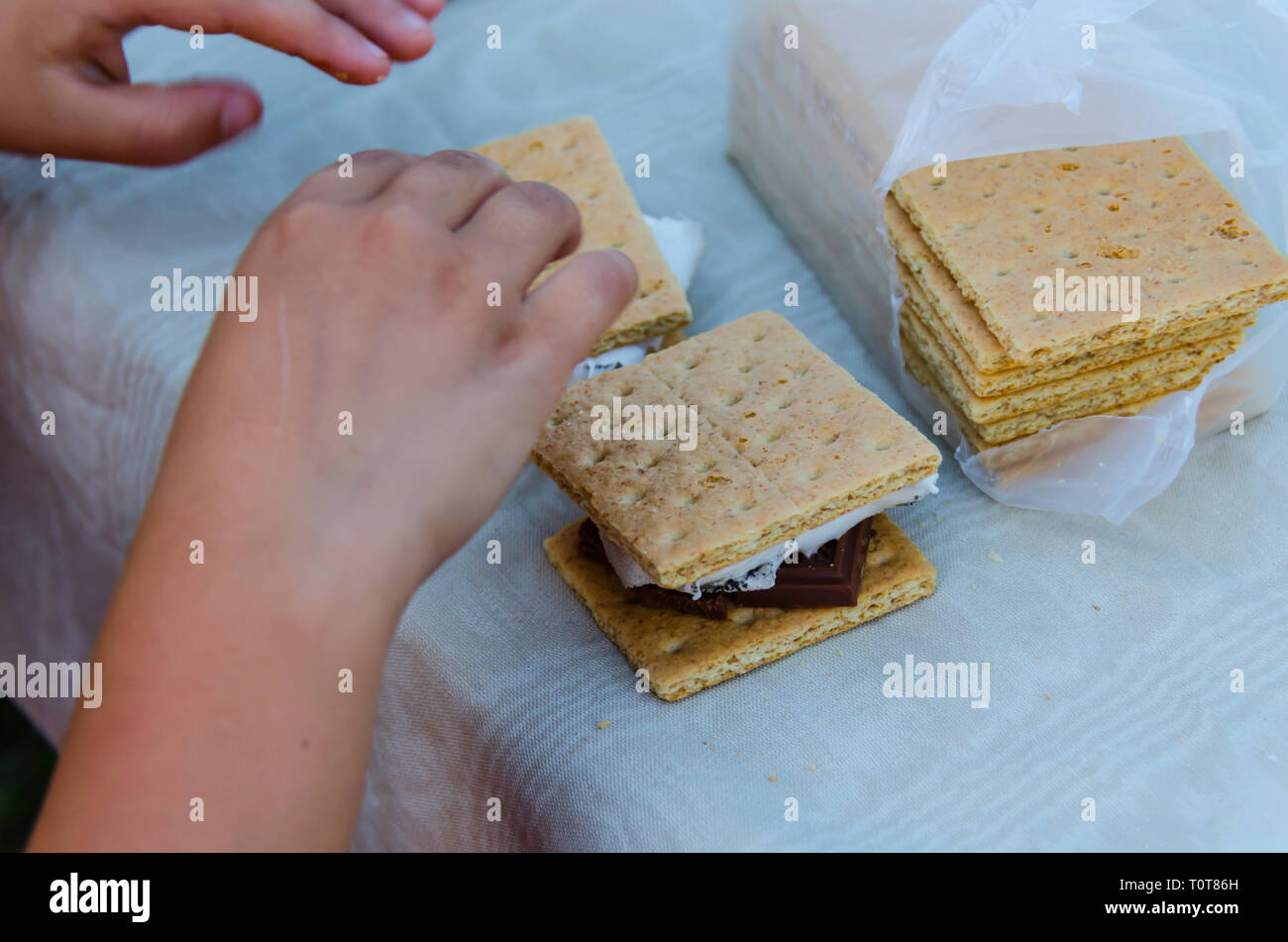 Smore's, a delicious sweet treat with roasted marshmallow, graham ...