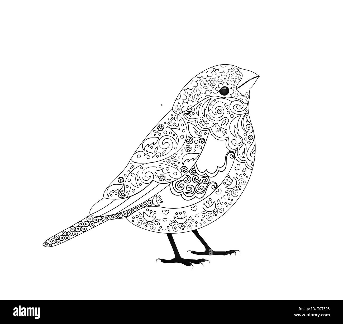 Zentangle bird colorful bird colorful patterns Stock Photo - Alamy