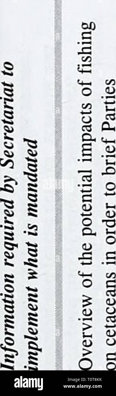 Draft information management plan for Stock Photo - Alamy