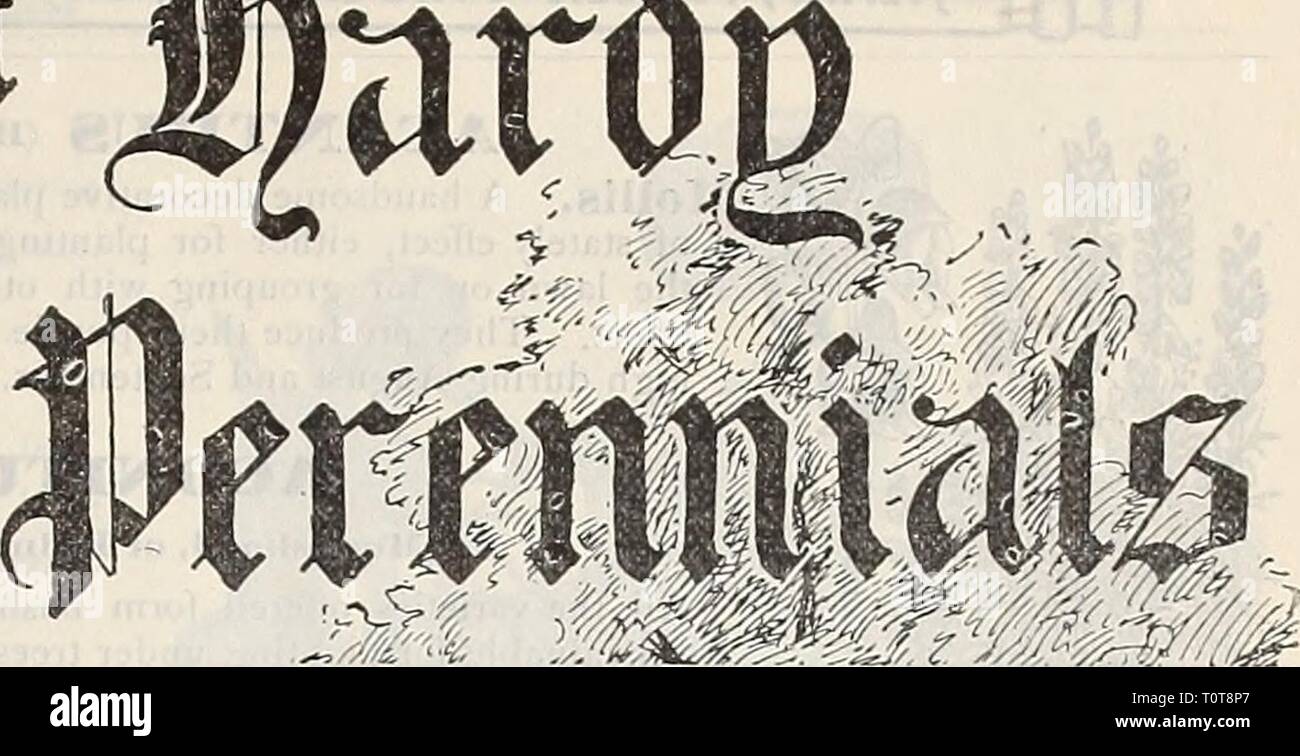 1901 calendar hi-res stock photography and images - Alamy