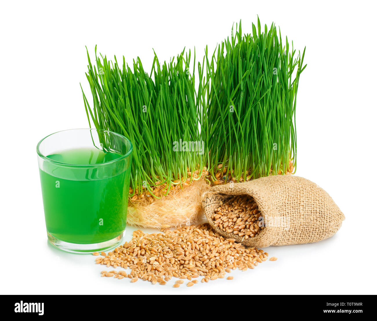 Wheatgrass juice with sprouted wheat isolated on white background Stock ...