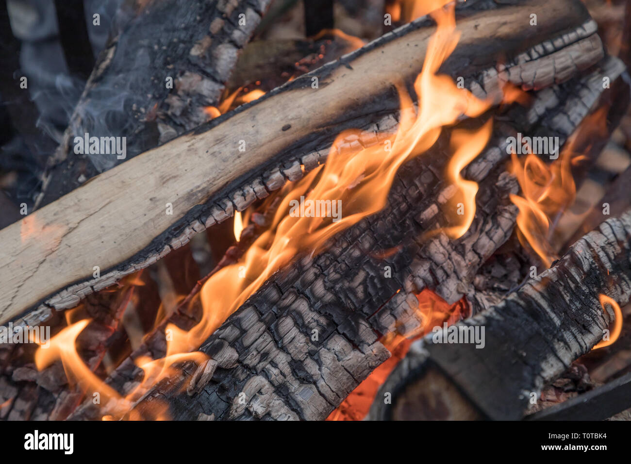 Smoldering campfire hi-res stock photography and images - Alamy