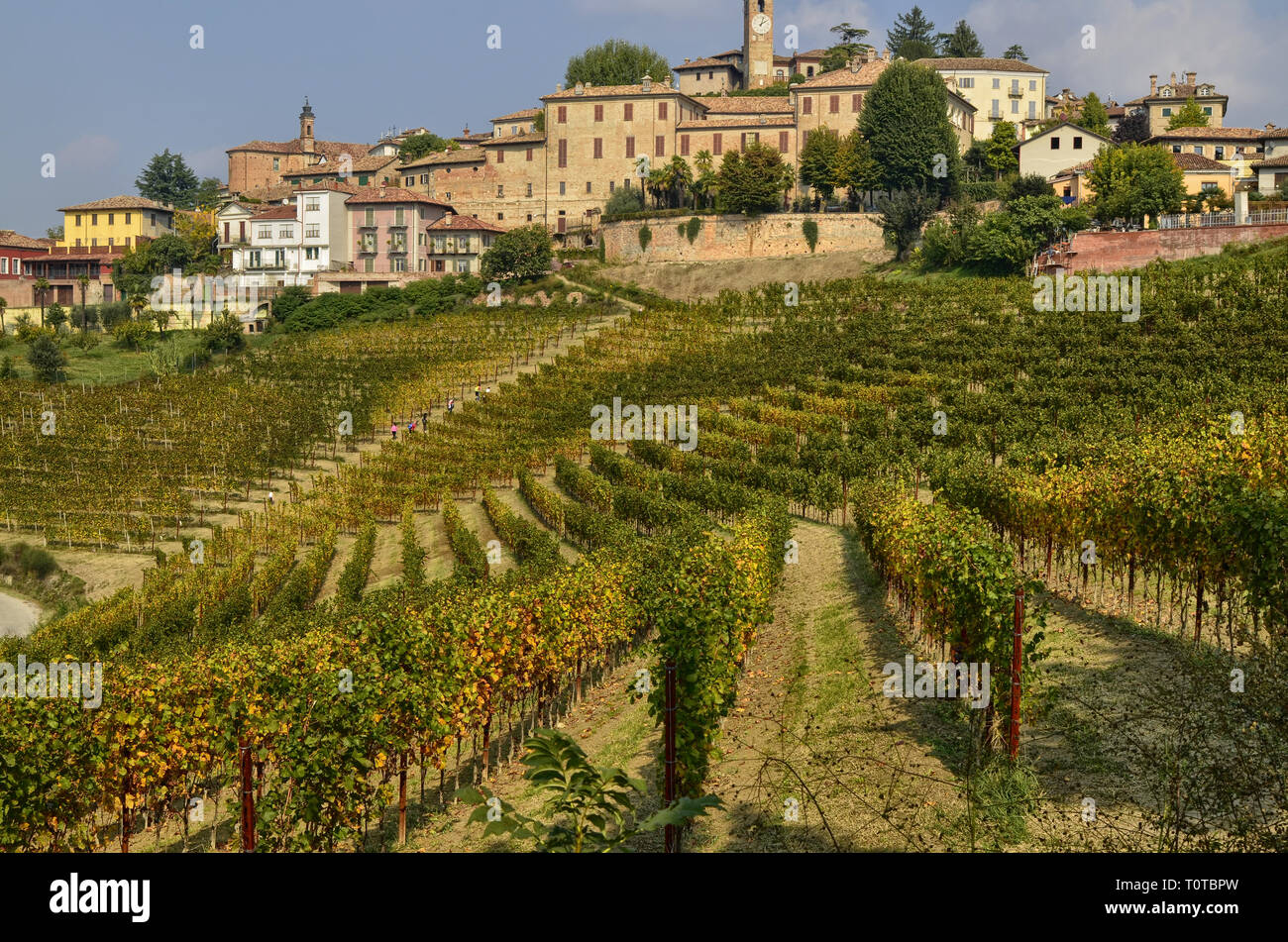 Neive, Italy. October 2018. Going up towards the village the view is ...