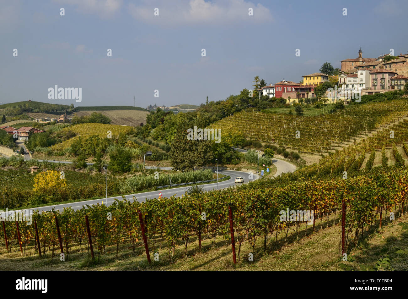 Neive, Italy. October 2018. Going up towards the village the view is ...