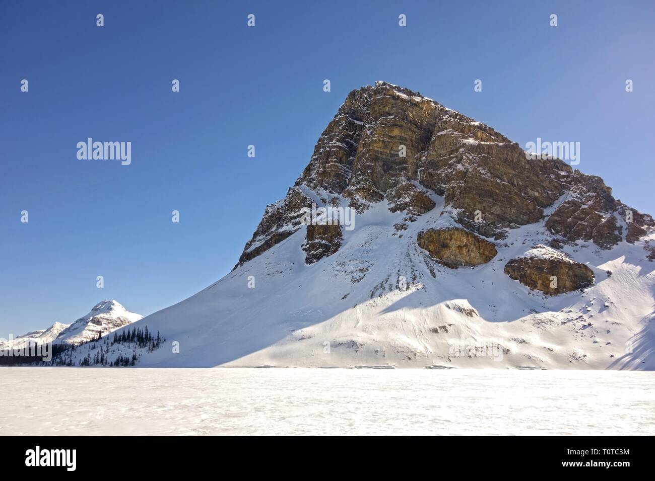 Rocky Mountain Peak and Frozen Bow Lake Scenic Landscape. Sunny ...