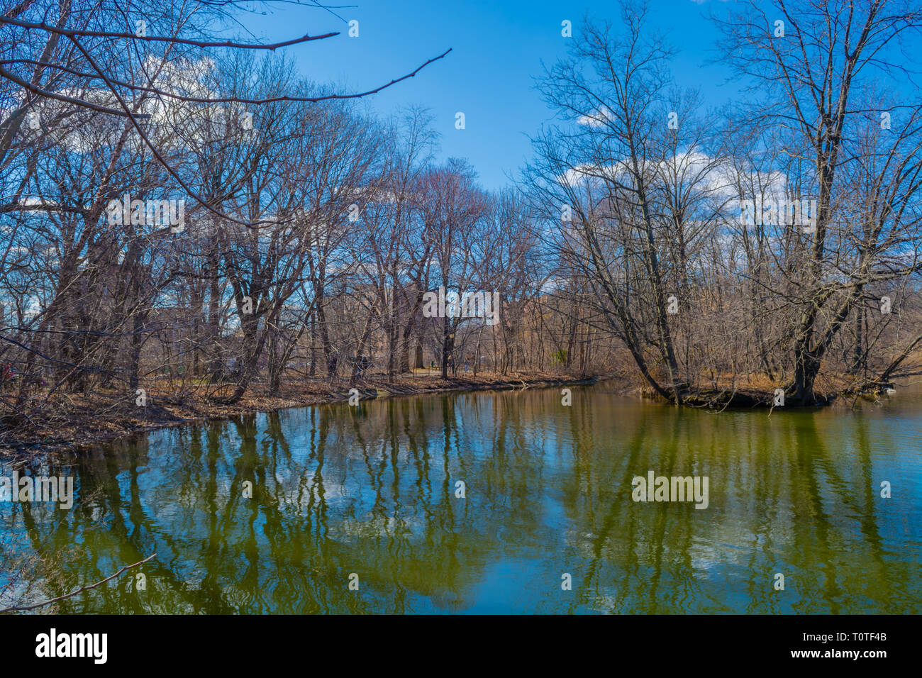 Prospect hill park hi-res stock photography and images - Alamy