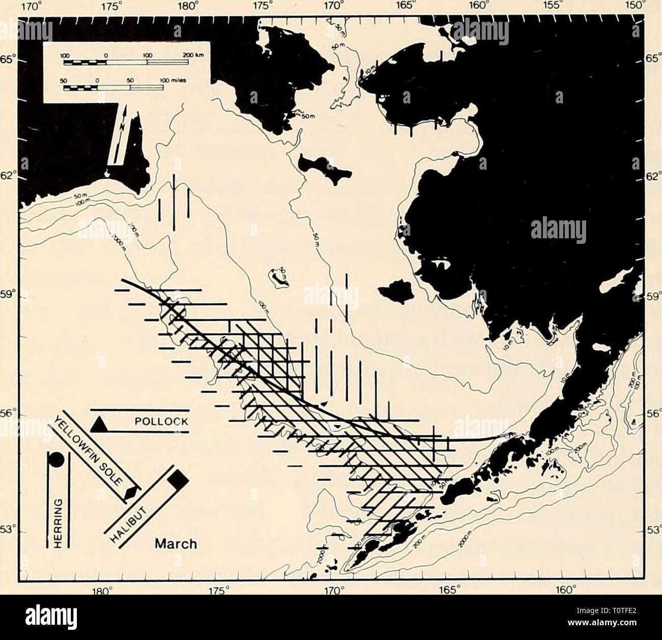 The Eastern Bering Sea Shelf Stock Photo - Alamy