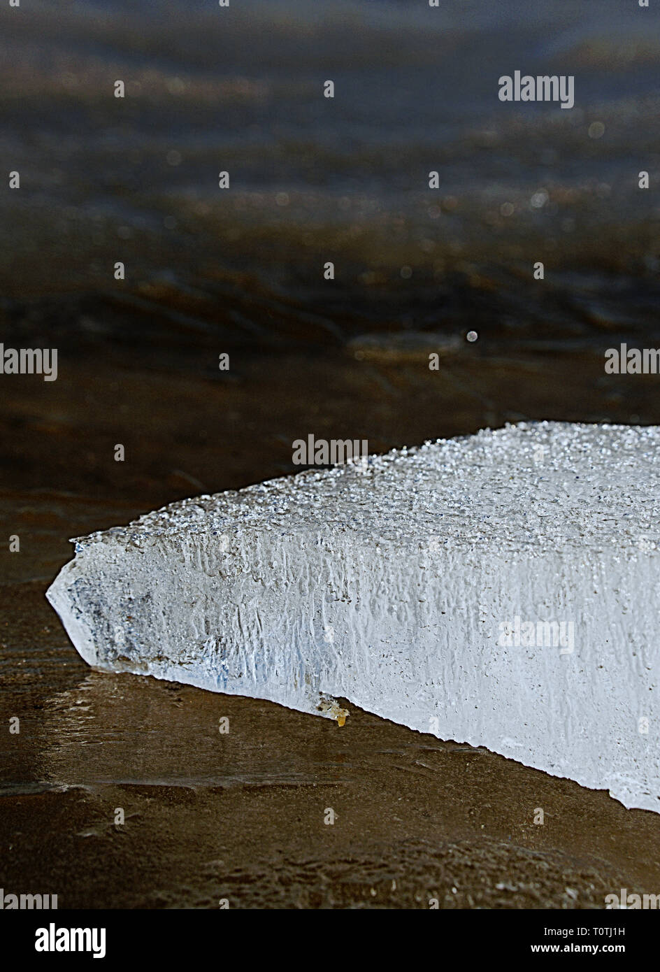 Ice floe at frozen lake surface with reflection. Bubbles frozen in thin ...