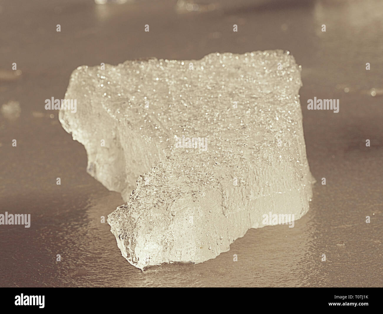 Ice floe at frozen lake surface with reflection. Bubbles frozen in thin ...