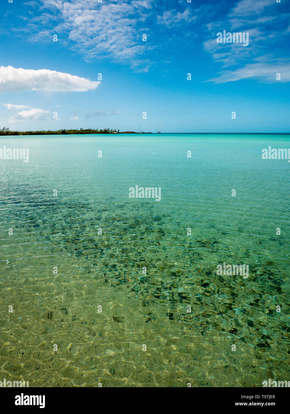 Underwater Sea Shells, Bahamas Beach Landscape, Cocodimama, Governors ...