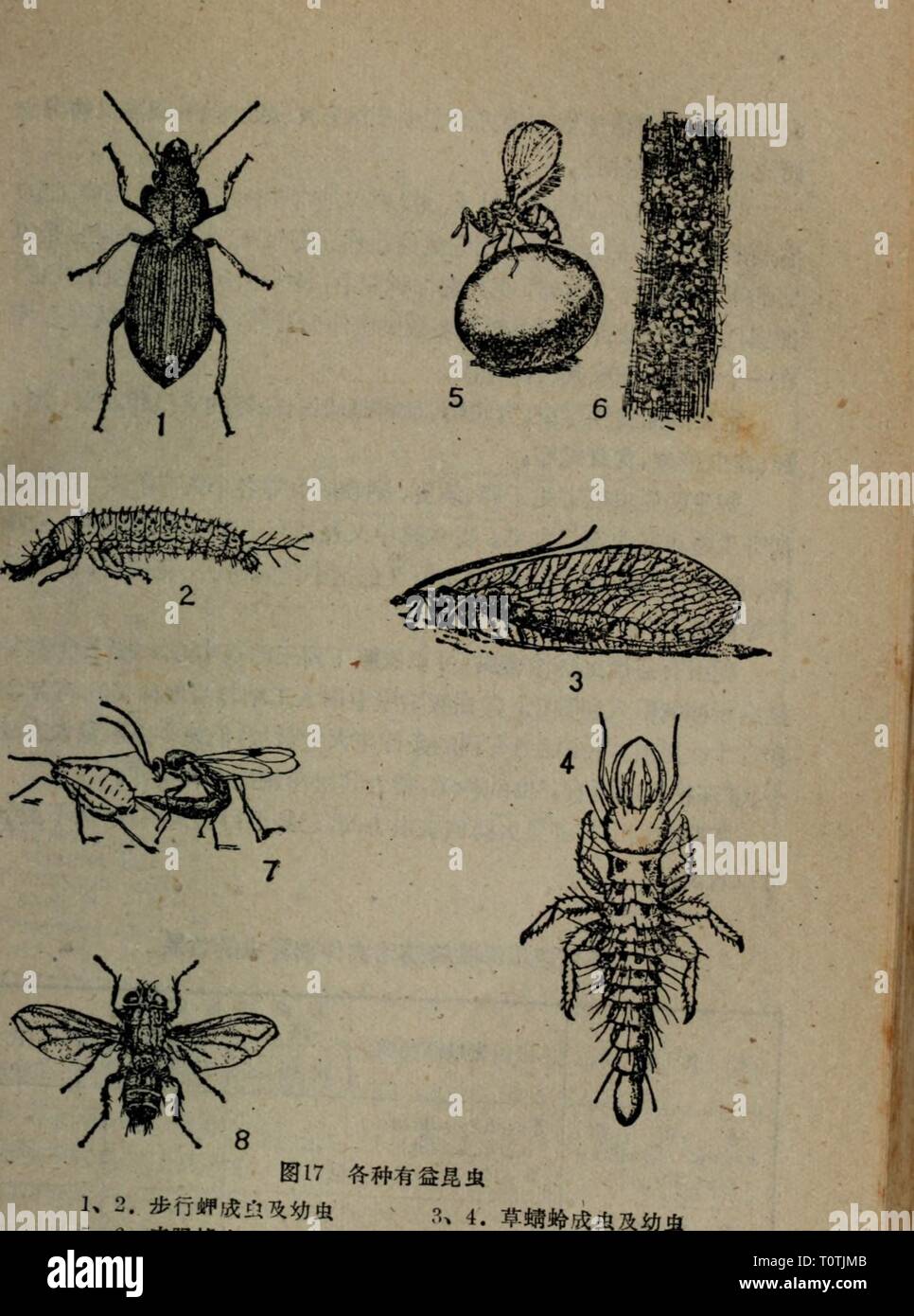 dong bei nong zuo wu dong bei nong zuo wu bing chong hai fang zhi gong ...