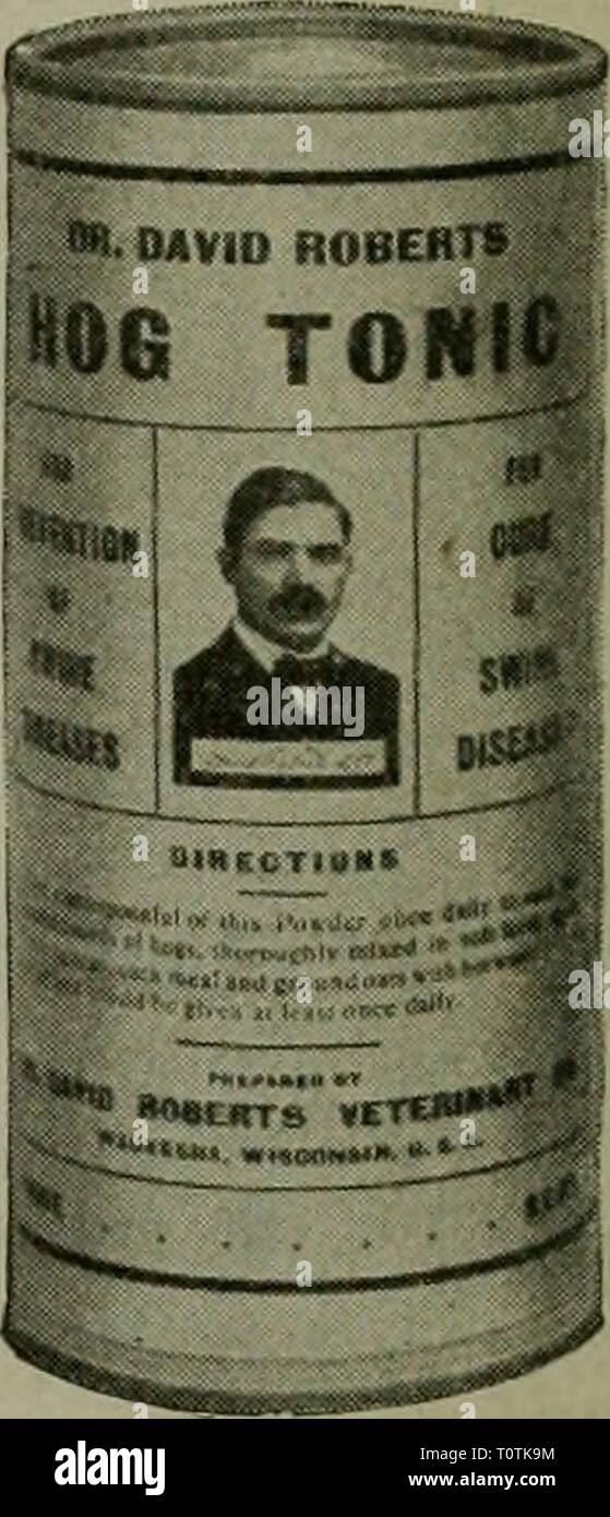 Dr David Roberts practical home Stock Photo - Alamy