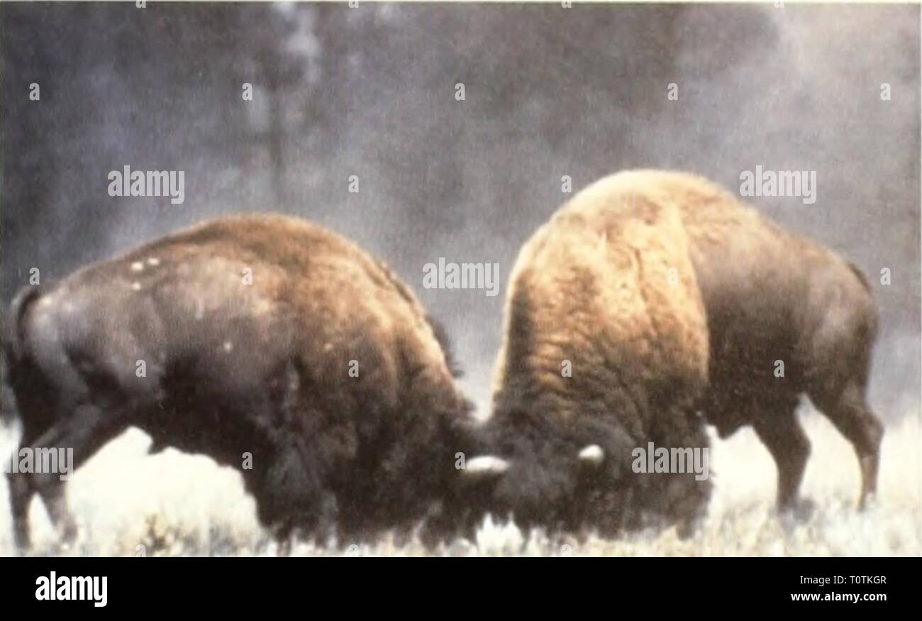 Draft environmental impact statement for Stock Photo - Alamy