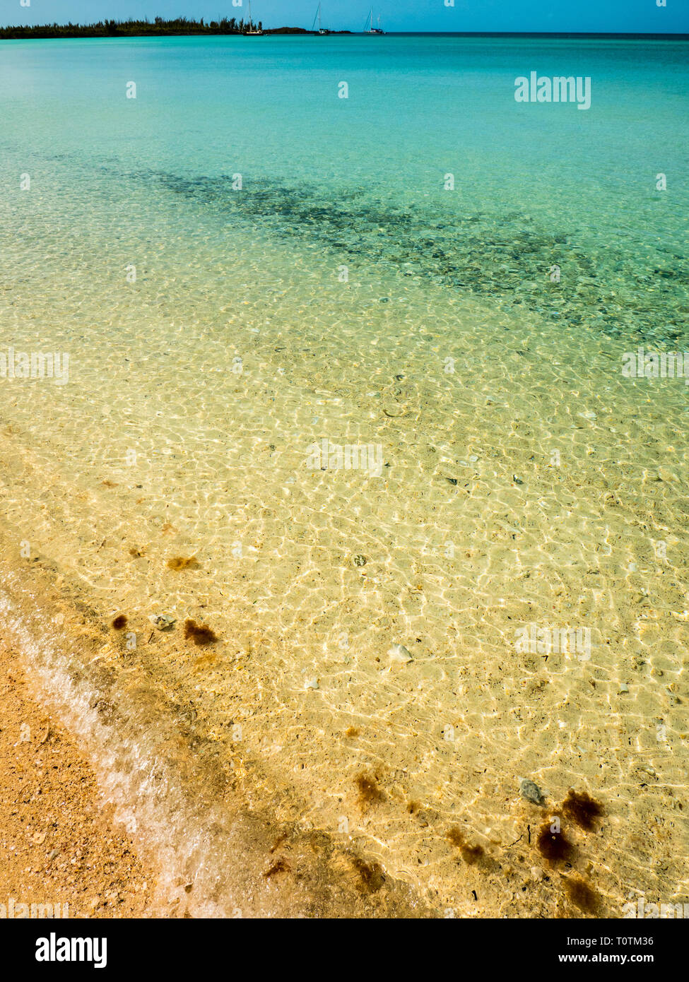 Underwater Sea Shells, Bahamas Beach Landscape, Cocodimama, Governors ...