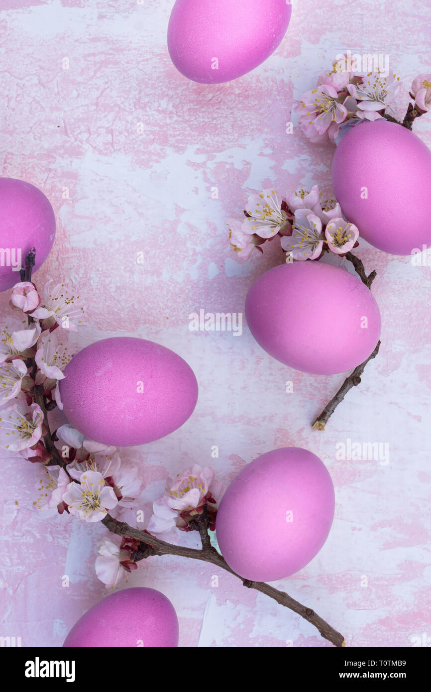 Pink Easter eggs Stock Photo - Alamy