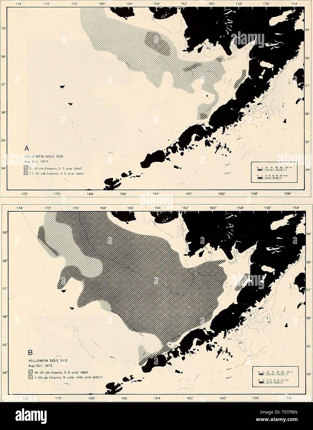 The Eastern Bering Sea Shelf Stock Photo - Alamy
