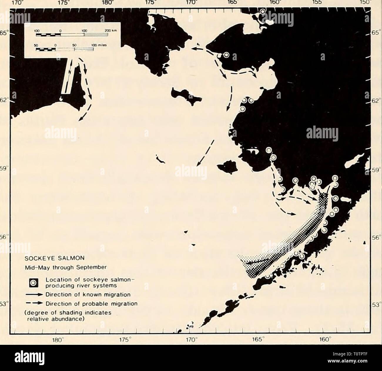 The Eastern Bering Sea Shelf Stock Photo - Alamy