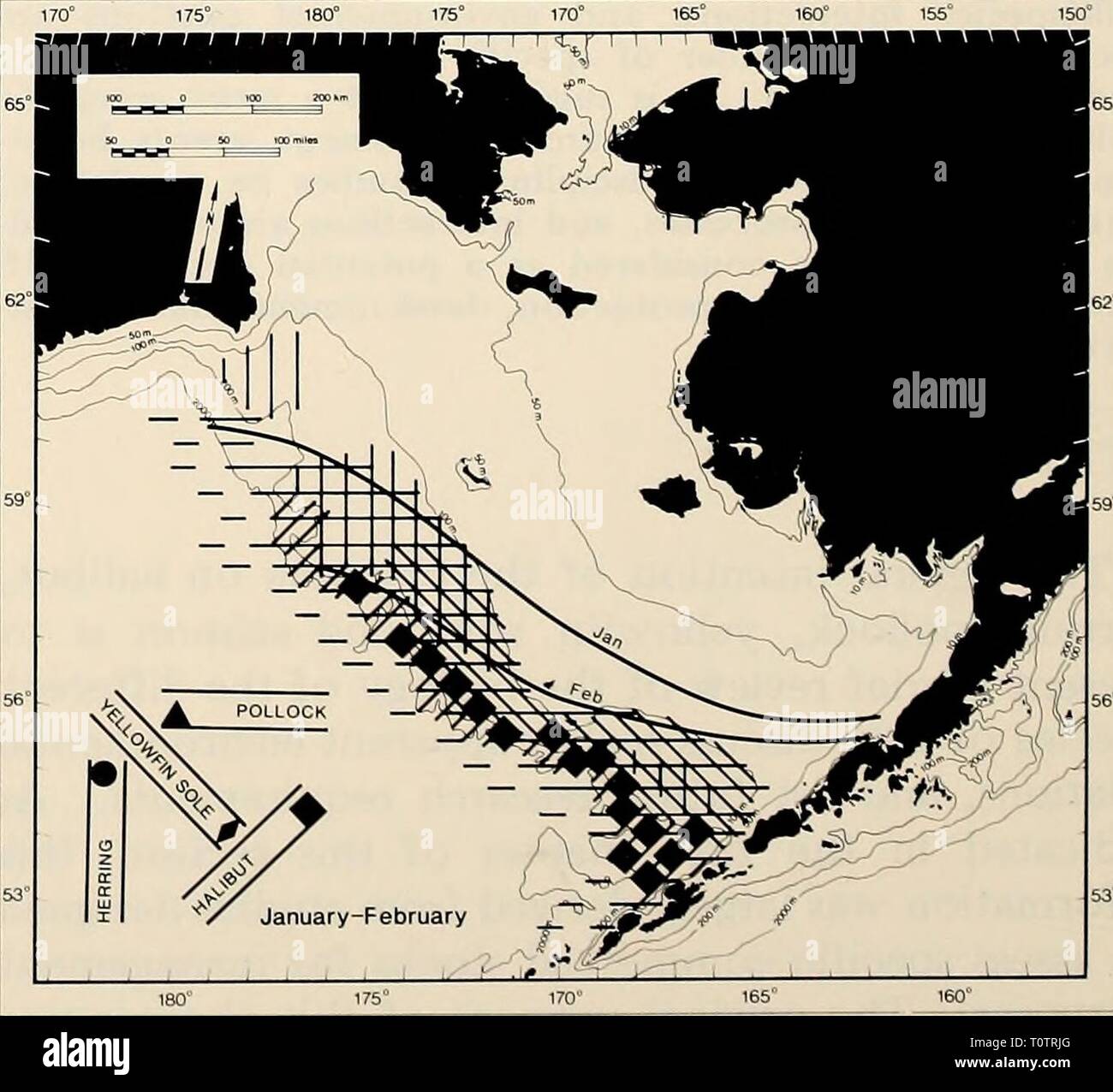 The Eastern Bering Sea Shelf Stock Photo - Alamy