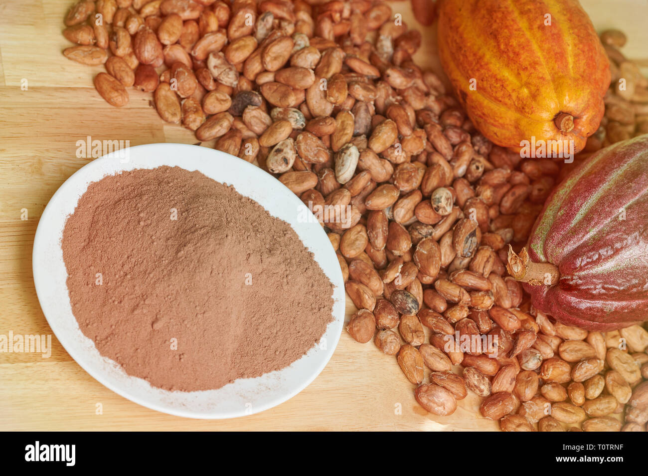 Powder plant seeds hi-res stock photography and images - Alamy