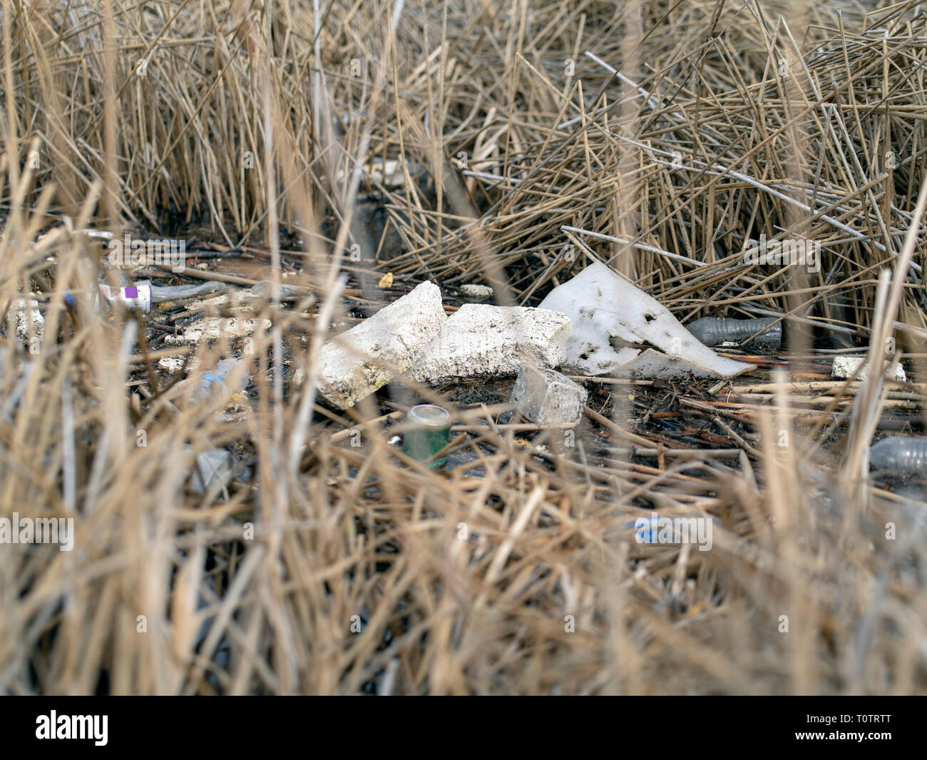 Contamination of waterways hi-res stock photography and images - Alamy