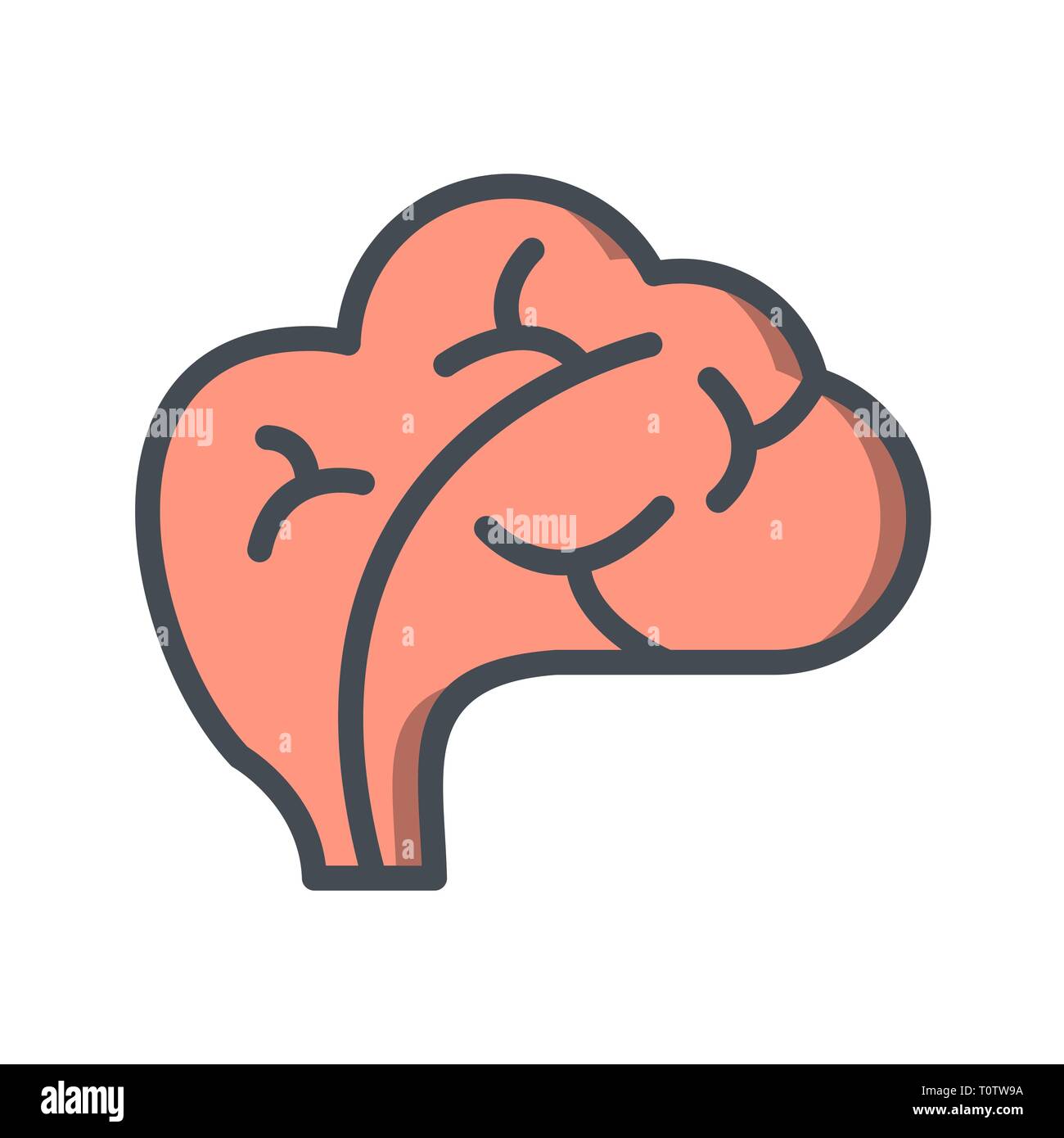 Illustration Brain Icon Stock Photo - Alamy