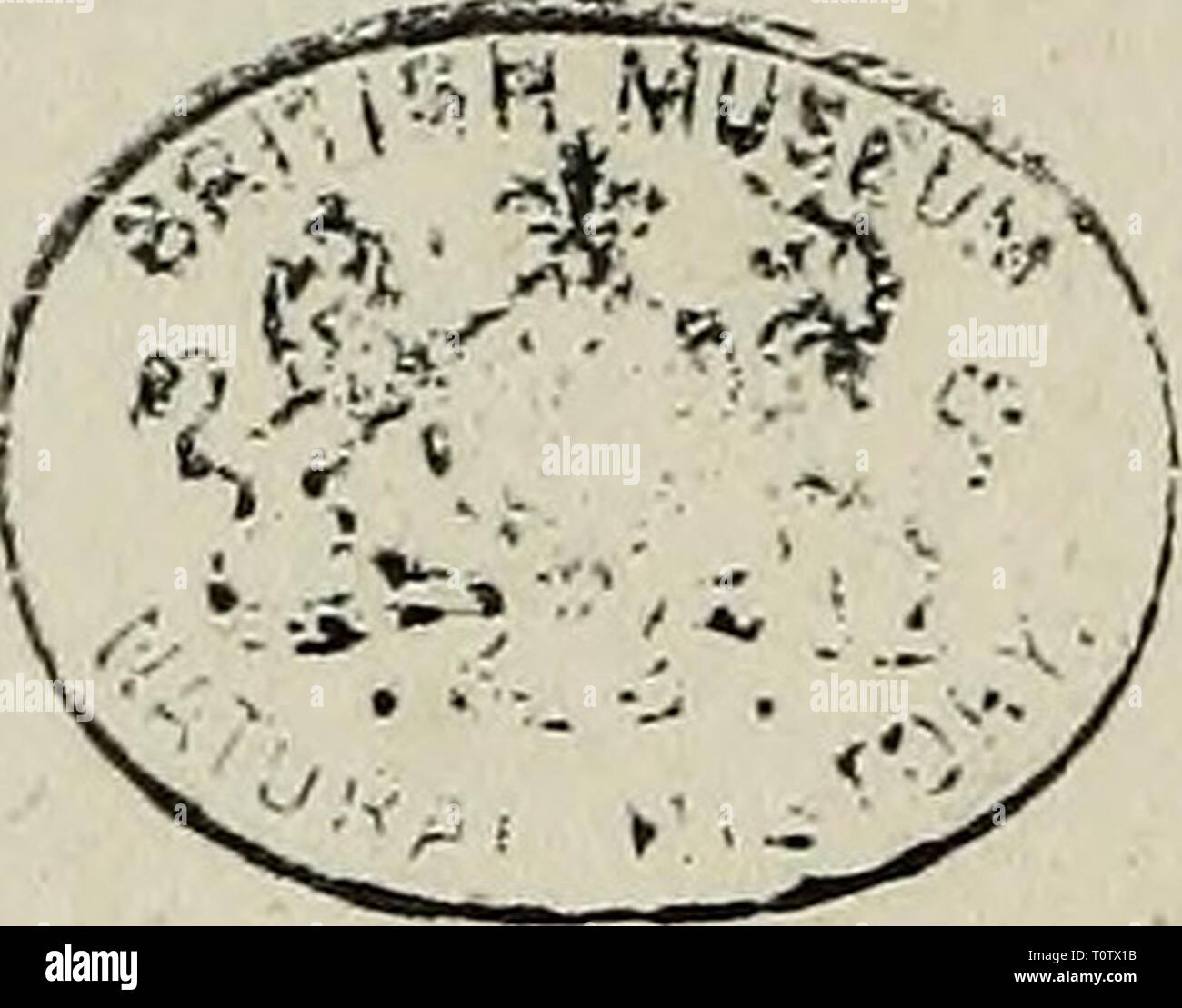 Edinburgh encyclopedia 1830 hi-res stock photography and images - Alamy