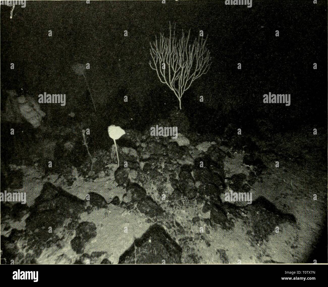 The Earth beneath the sea Stock Photo - Alamy