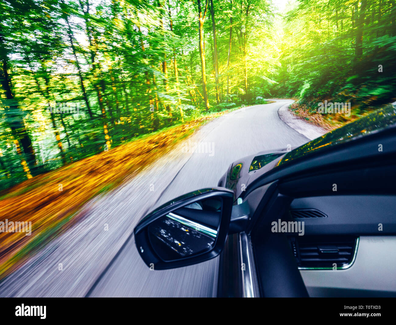 Car front mirror driving fast into forest with tall trees and empty ...