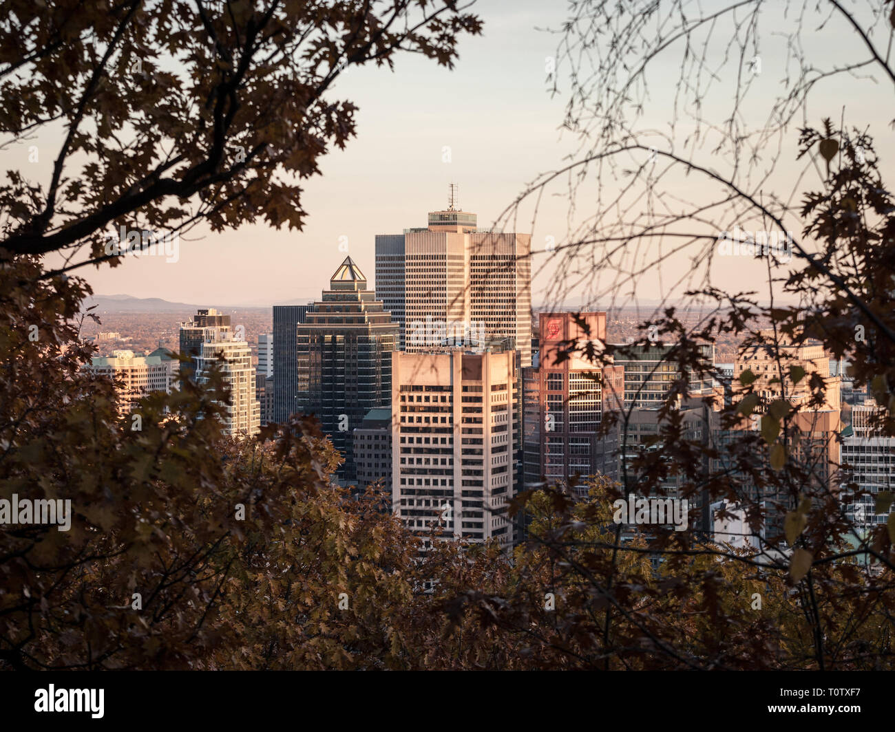 Scotia tower hi-res stock photography and images - Alamy