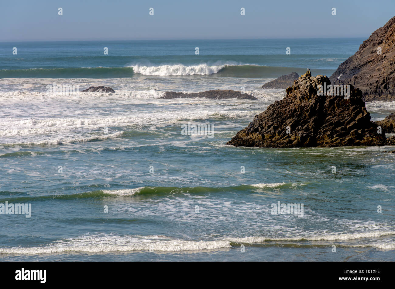 Indian seashore with person hi-res stock photography and images - Alamy