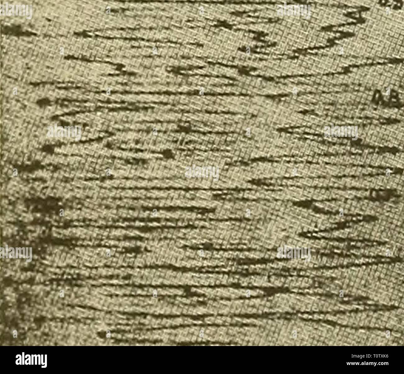 Early geophysical papers of the Early geophysical papers of the Society ...