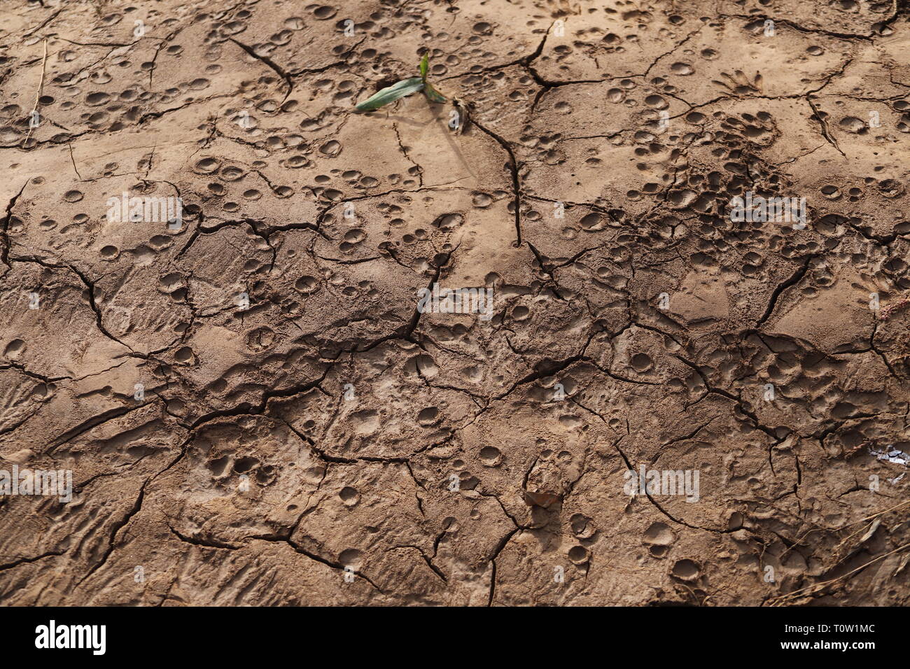 Rural landscapes with mud Stock Photo - Alamy