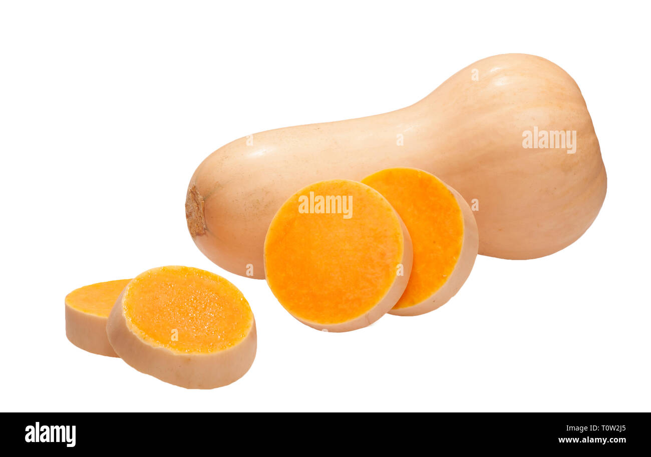 Squash plant butternut hi-res stock photography and images - Alamy