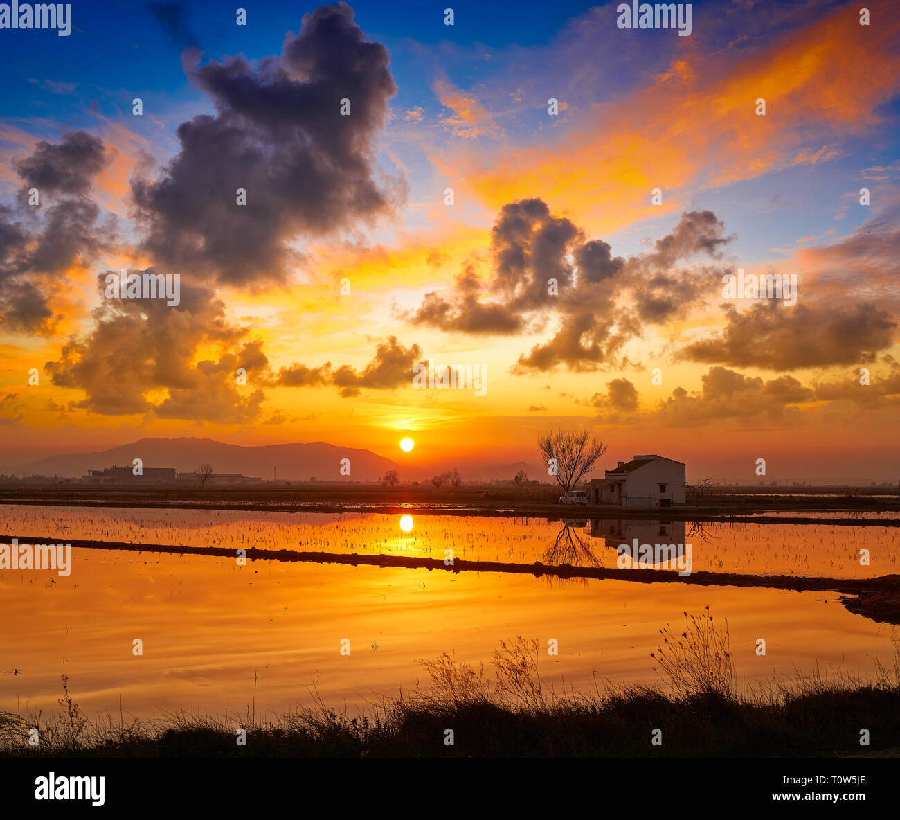 Punta del fangar deltebre hi-res stock photography and images - Alamy