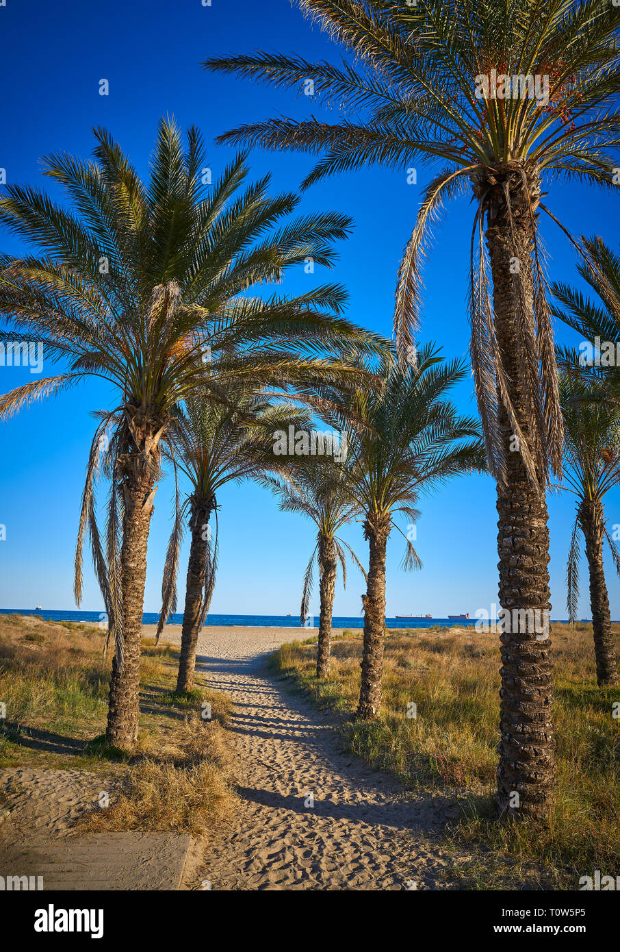 Pinar beach spain hi-res stock photography and images - Alamy