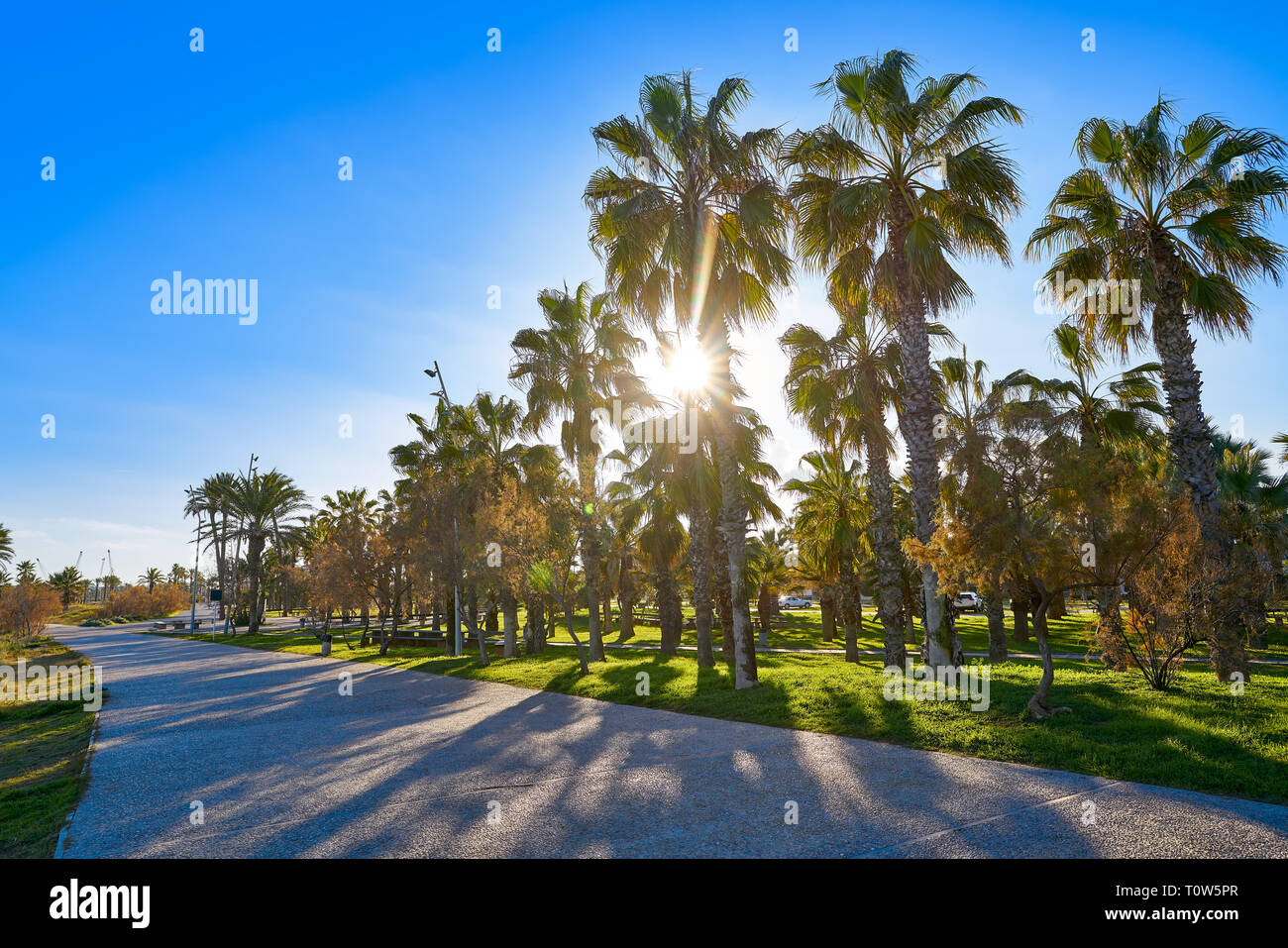 Playa el pinar hi-res stock photography and images - Alamy