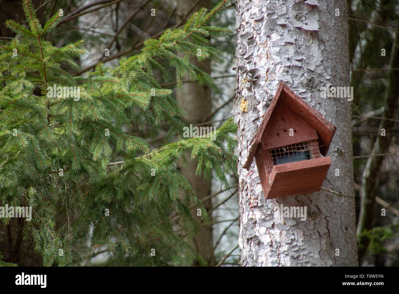 Crooked bird house hi-res stock photography and images - Alamy