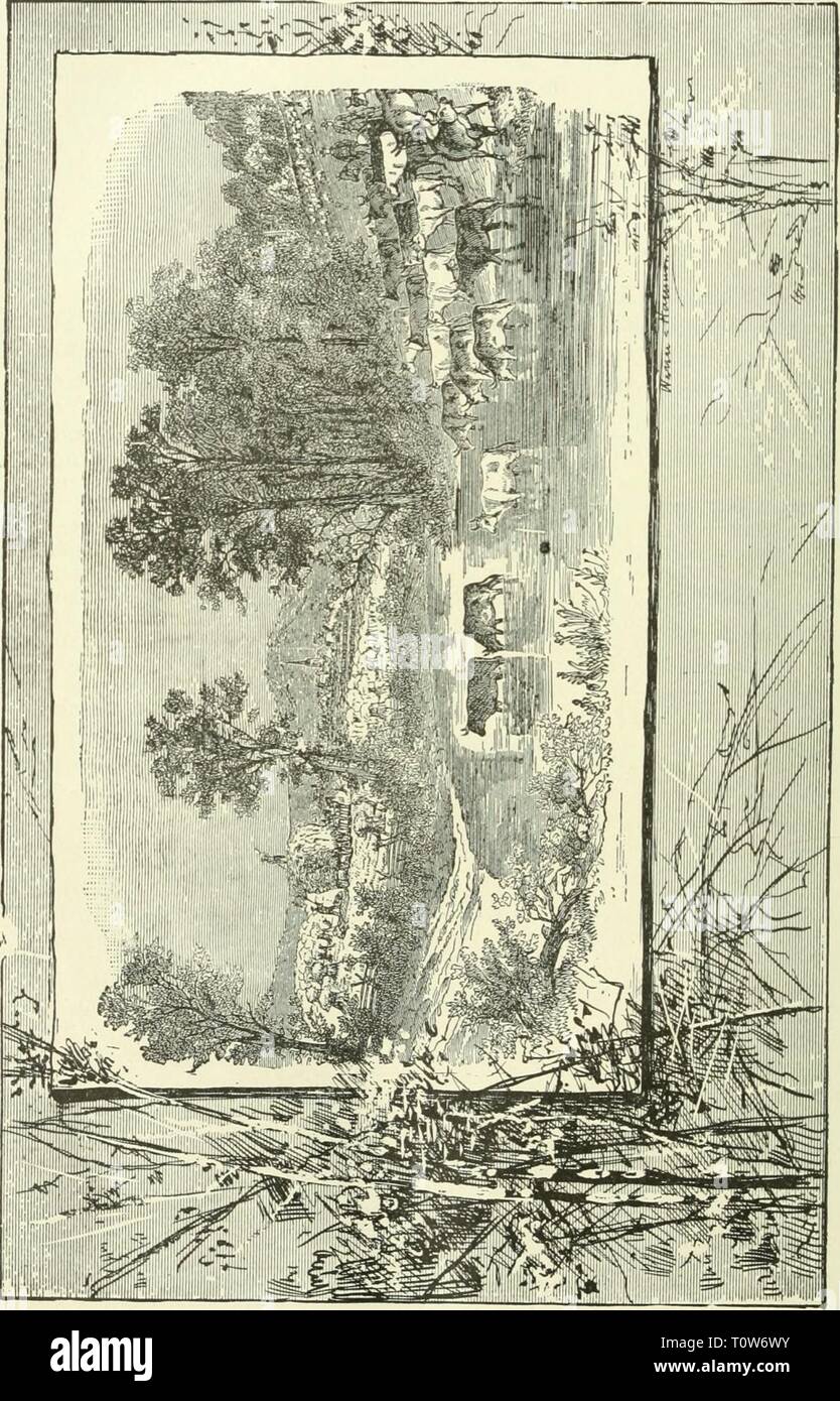 Dr Chase's third, last and Stock Photo - Alamy