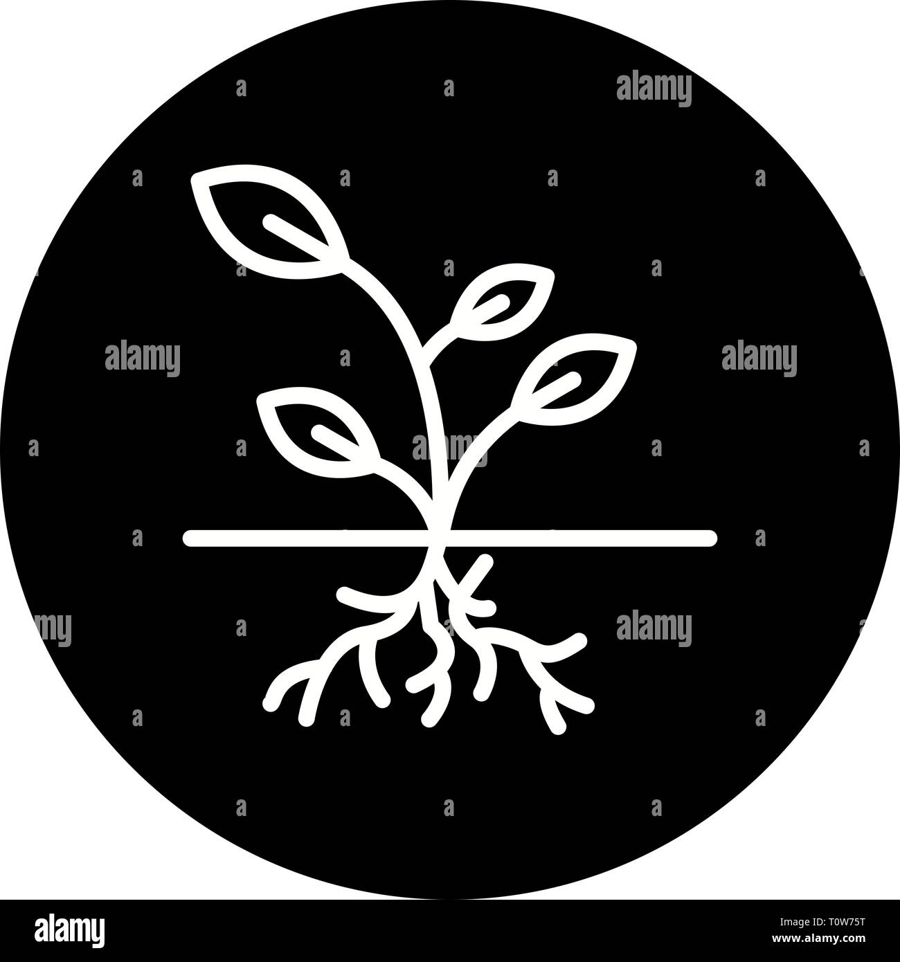Illustration Root Icon Stock Photo - Alamy