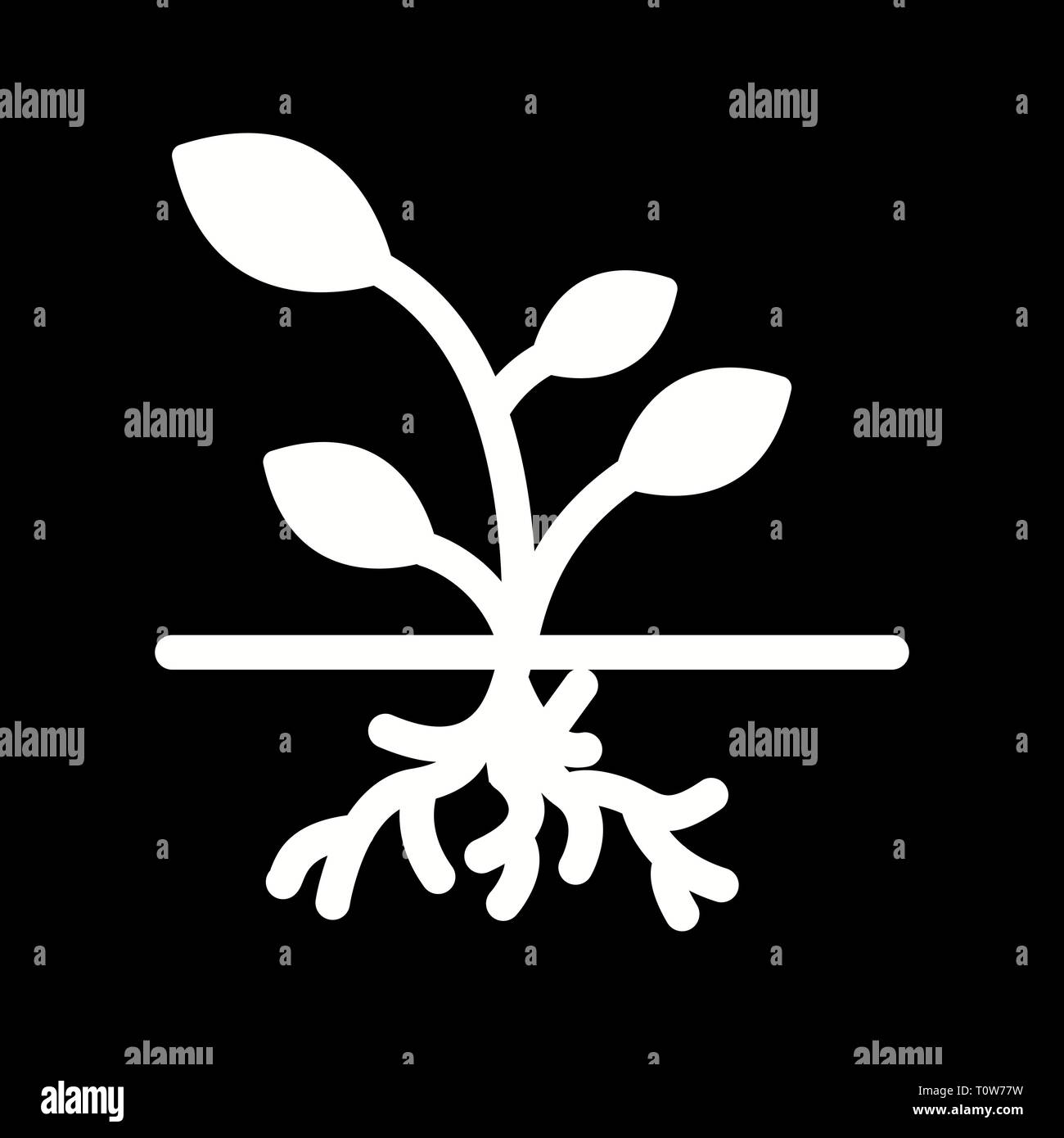 Illustration Root Icon Stock Photo - Alamy