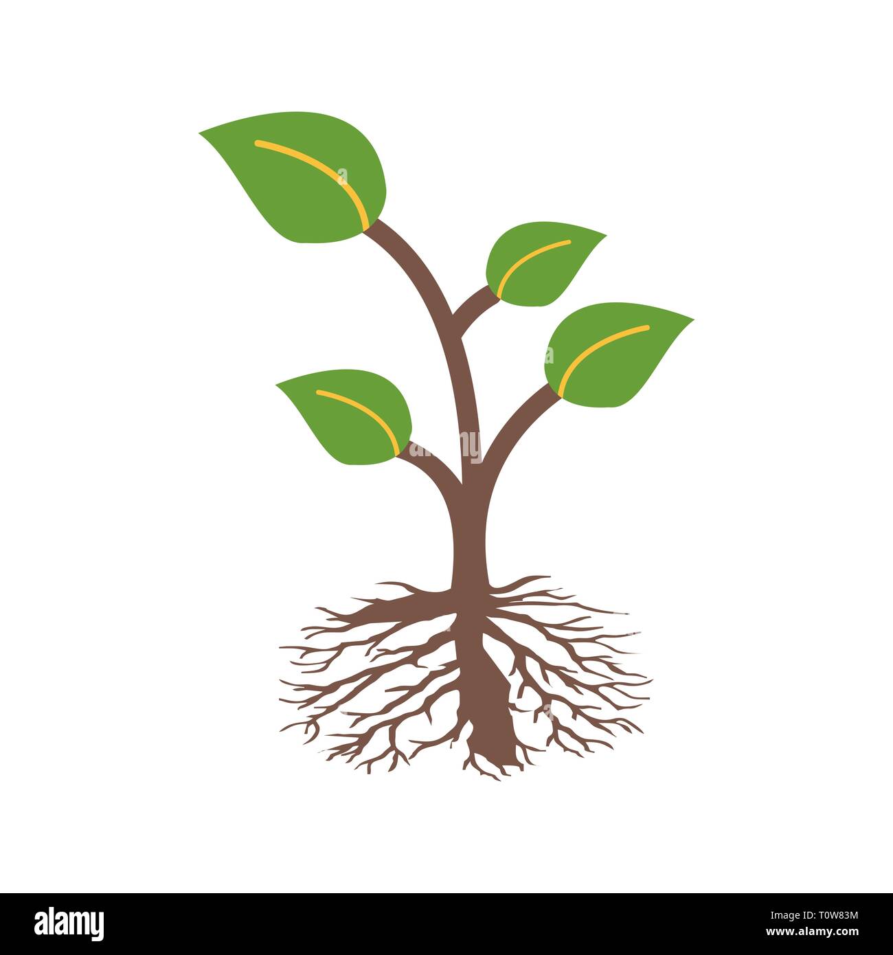 Illustration Root Icon Stock Photo - Alamy