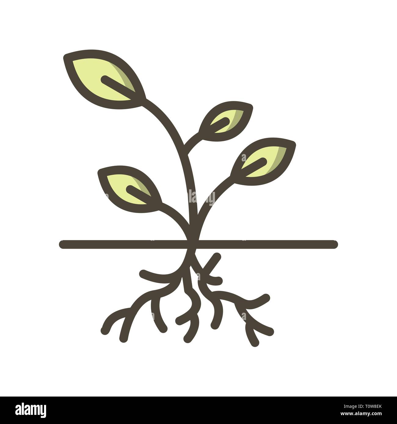 Illustration Root Icon Stock Photo - Alamy