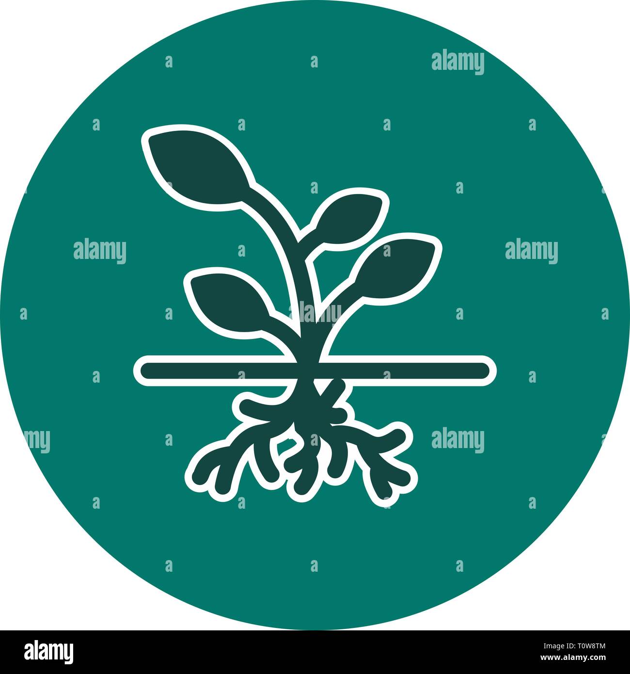 Illustration Root Icon Stock Photo - Alamy