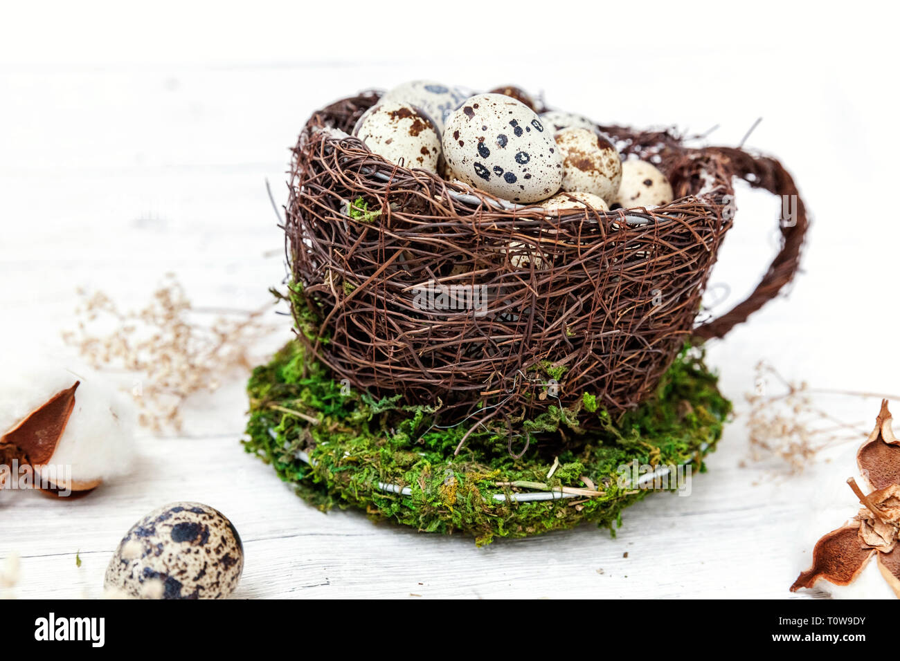 Easter decoration with egg in nest cup and cotton on white wooden ...