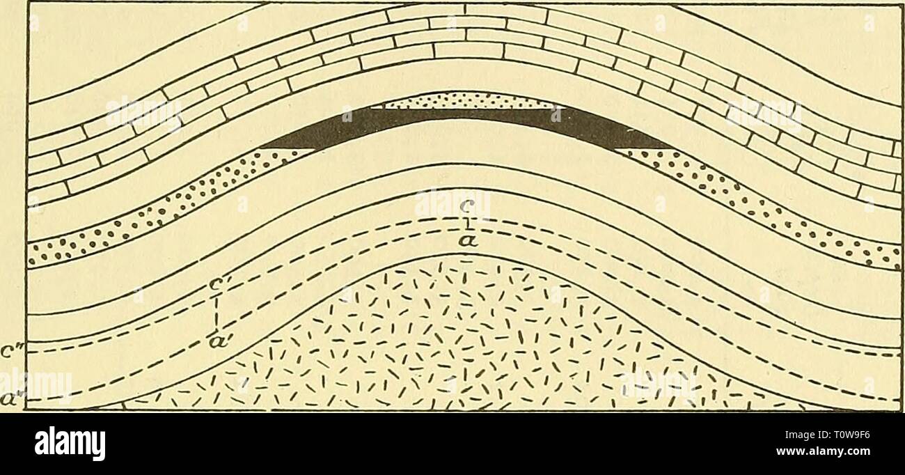 Anticline Diagram